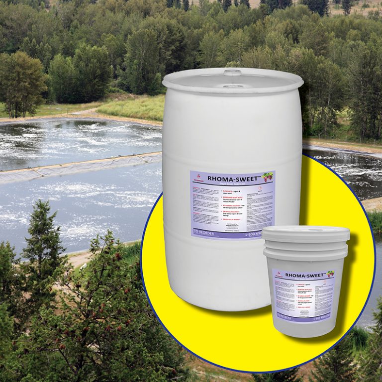 Floating Lift Station Degreaser | Grape Scent | RHOMA-LIFT