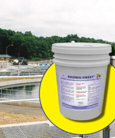 Removes Sewer Orders | Grape Scent | RHOMA-SWEET